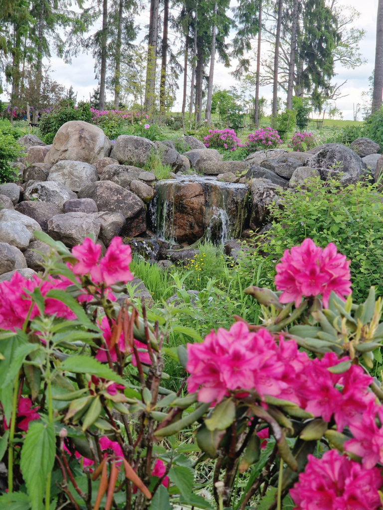 Hirschenhof Garden| Drupal